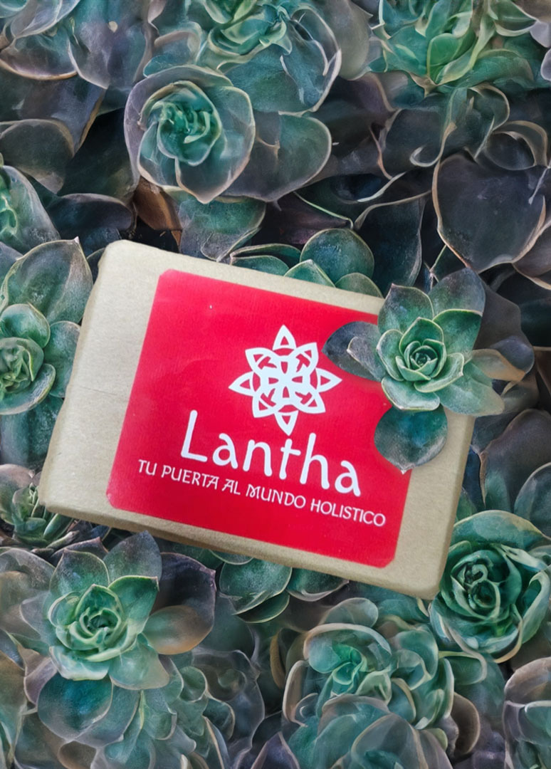 Inicio - Lantha de Sol